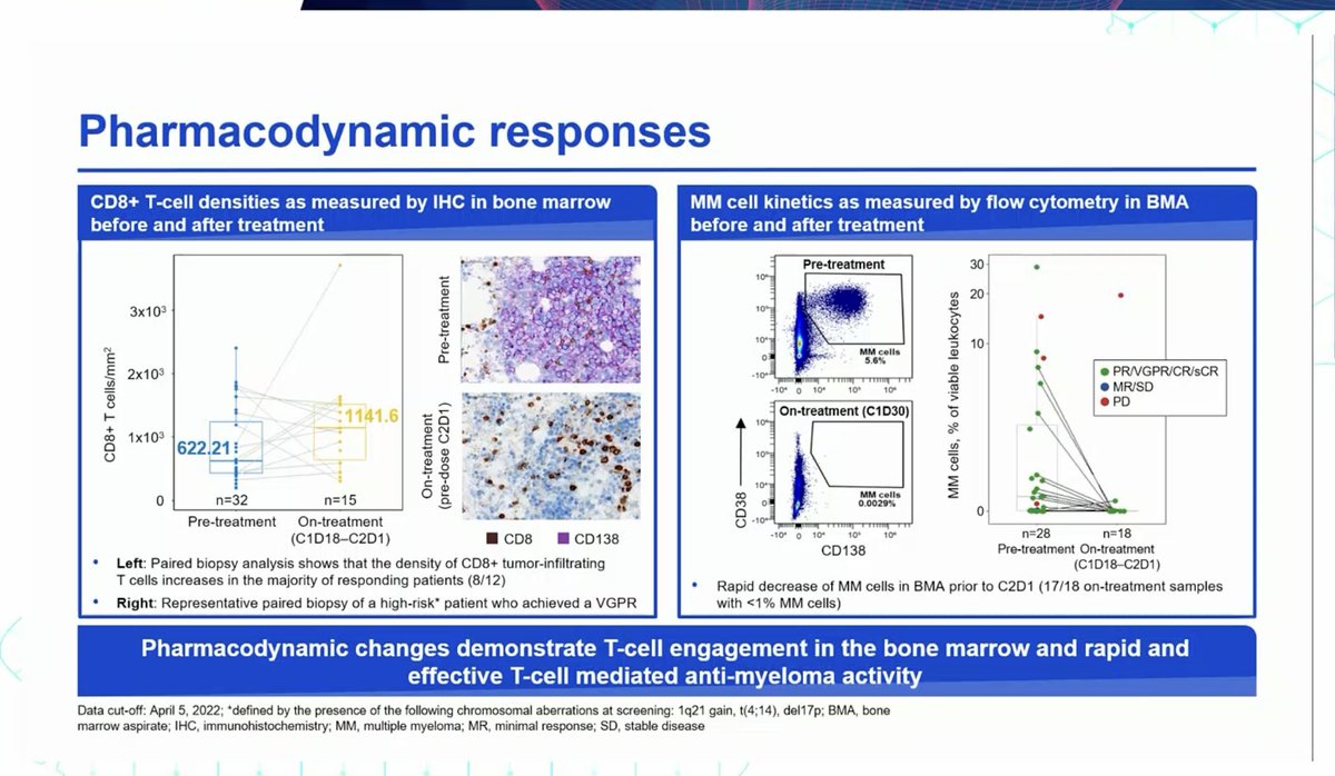 forimtamig (RG6234) / Roche