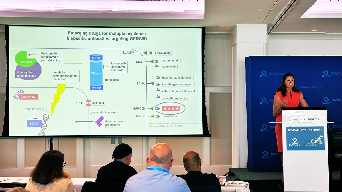 cevostamab (RG6160) / Roche