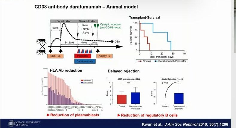 felzartamab (MOR202) / I-Mab, MorphoSys, HIBio