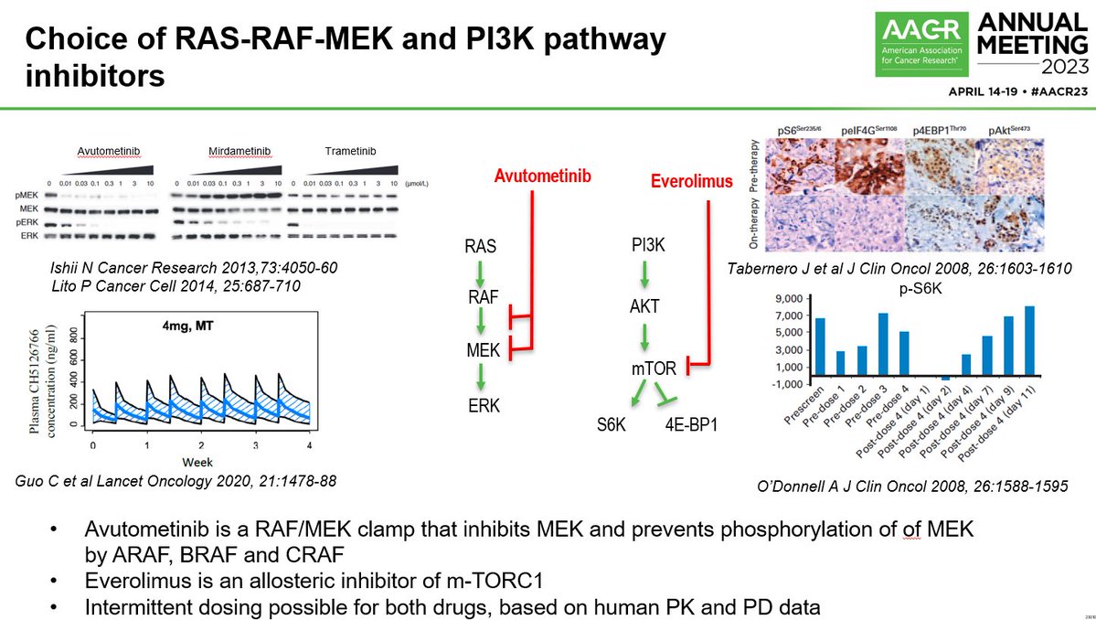 avutometinib (VS-6766) / Verastem, Roche