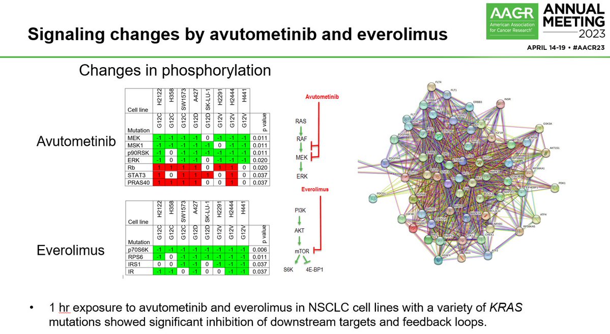 avutometinib (VS-6766) / Verastem, Roche