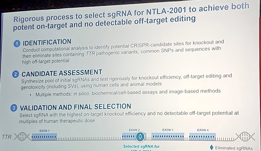 NTLA-2001 / Intellia Therap, Regeneron