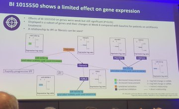 nerandomilast (BI 1015550) / Boehringer Ingelheim