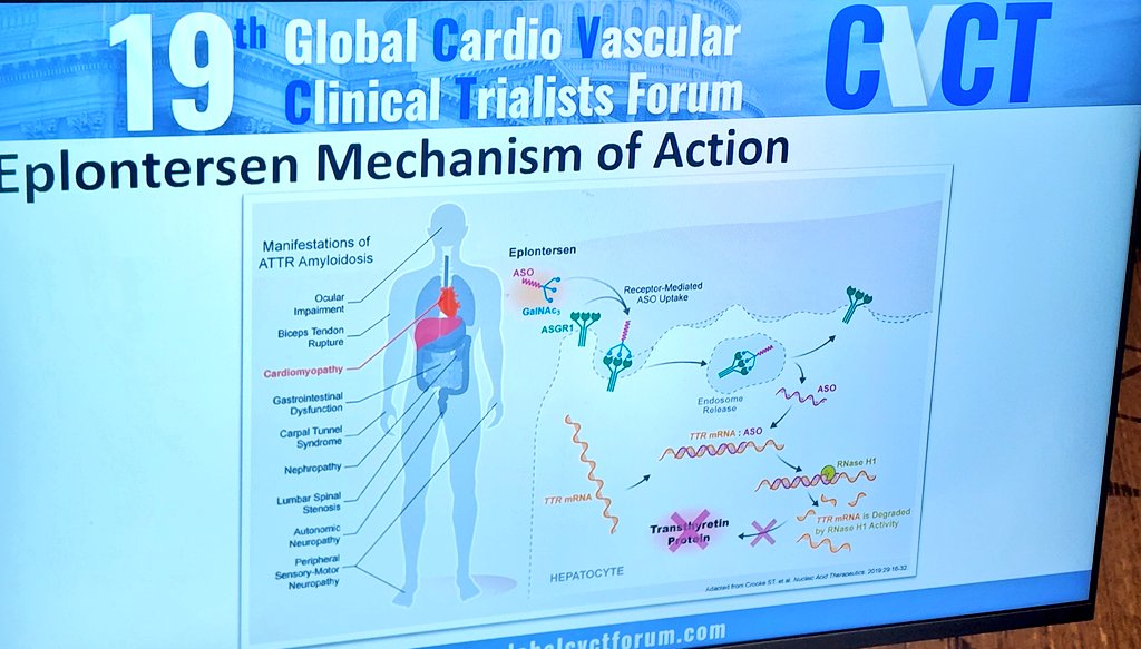 eplontersen (IONIS-TTR-LRx) / Ionis, AstraZeneca