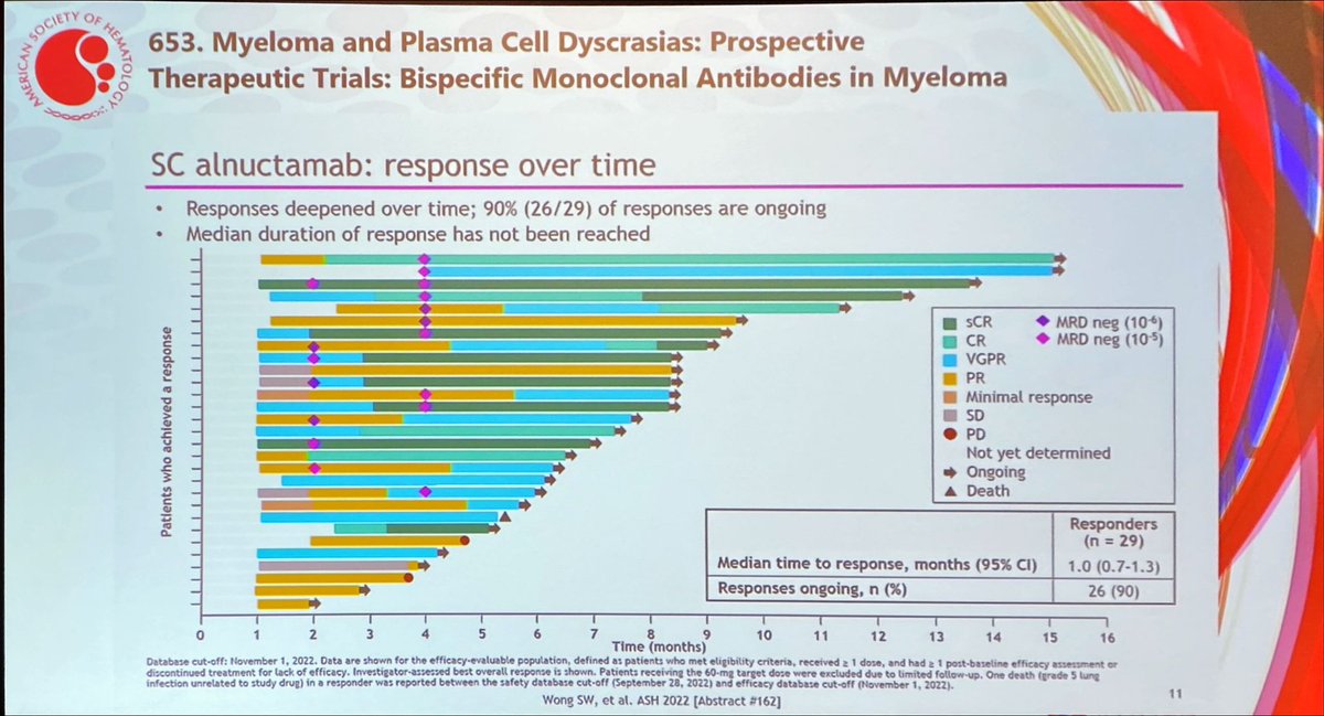 alnuctamab (CC-93269) / BMS