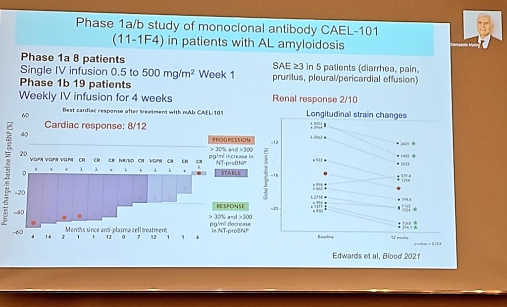 anselamimab (CAEL-101) / AstraZeneca