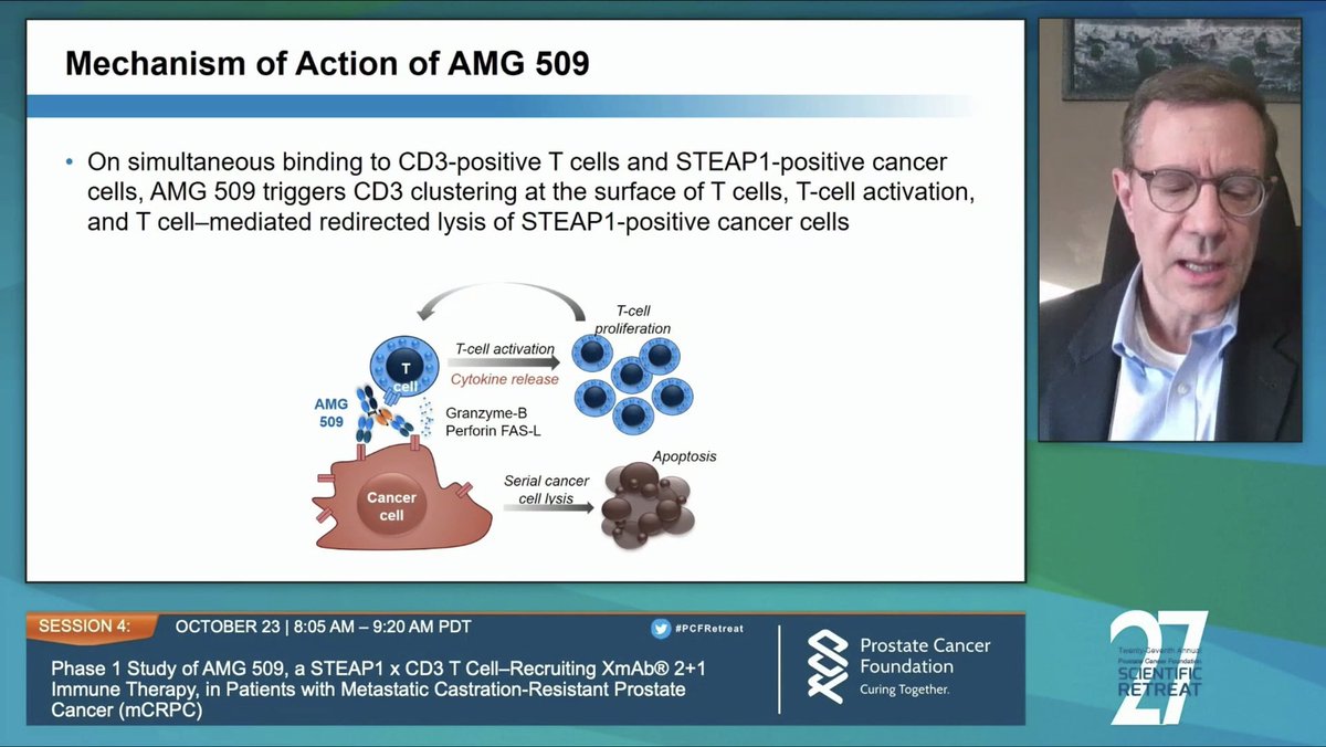 xaluritamig (AMG 509) / Xencor, Amgen, BeiGene